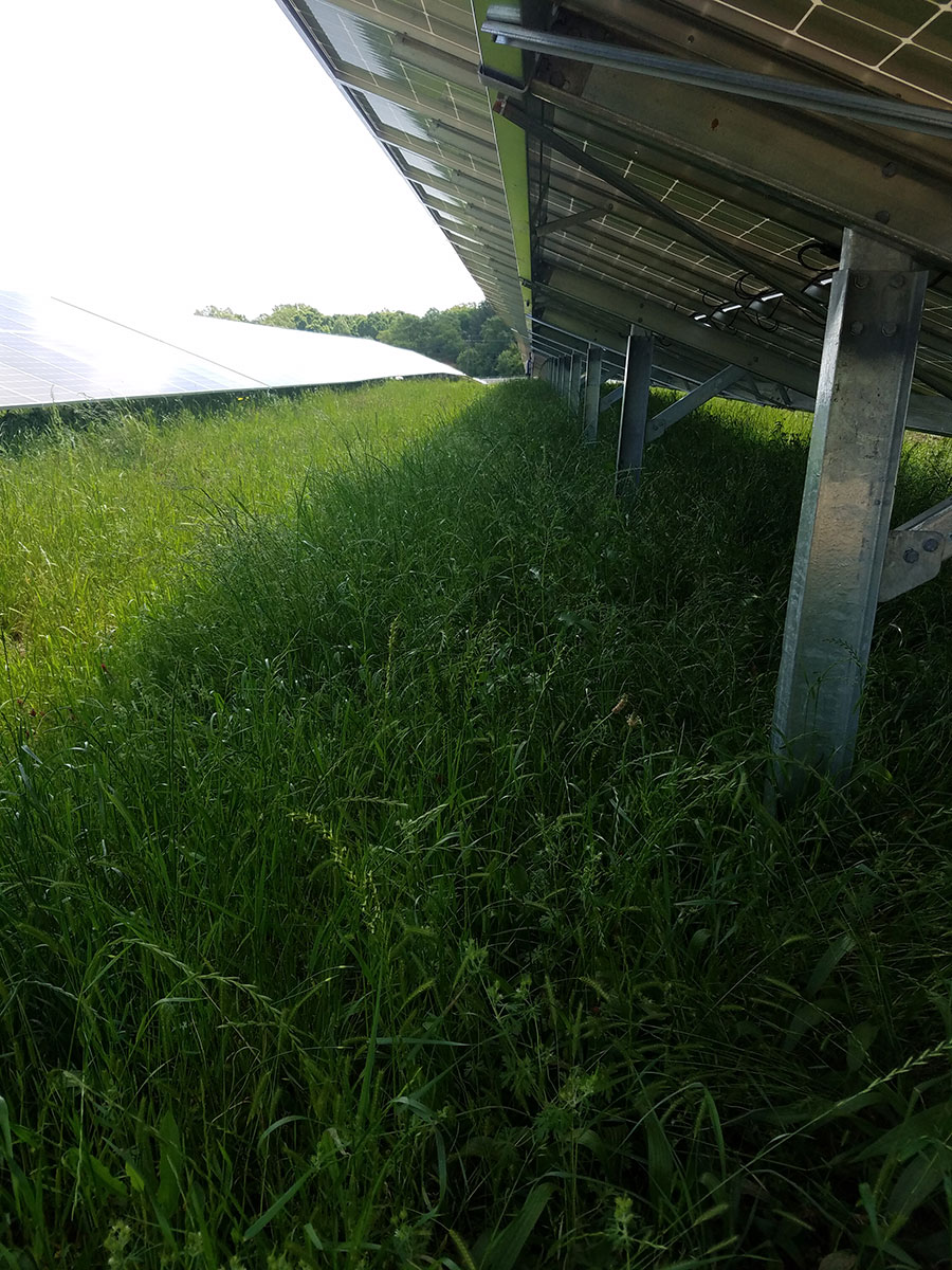 ReWa | Earth Design Landscape Architecture & Environmental Design ...