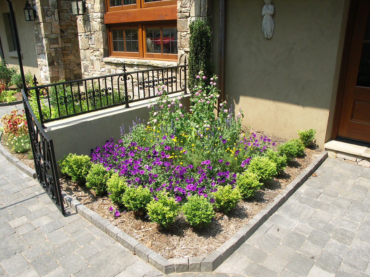 Lush Reserve | Earth Design Landscape Architecture & Environmental ...