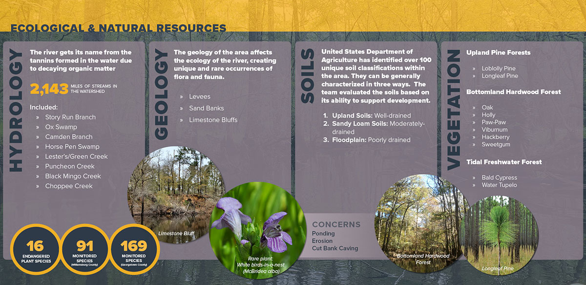 Black River Water Trail & Park Network | Earth Design Landscape ...